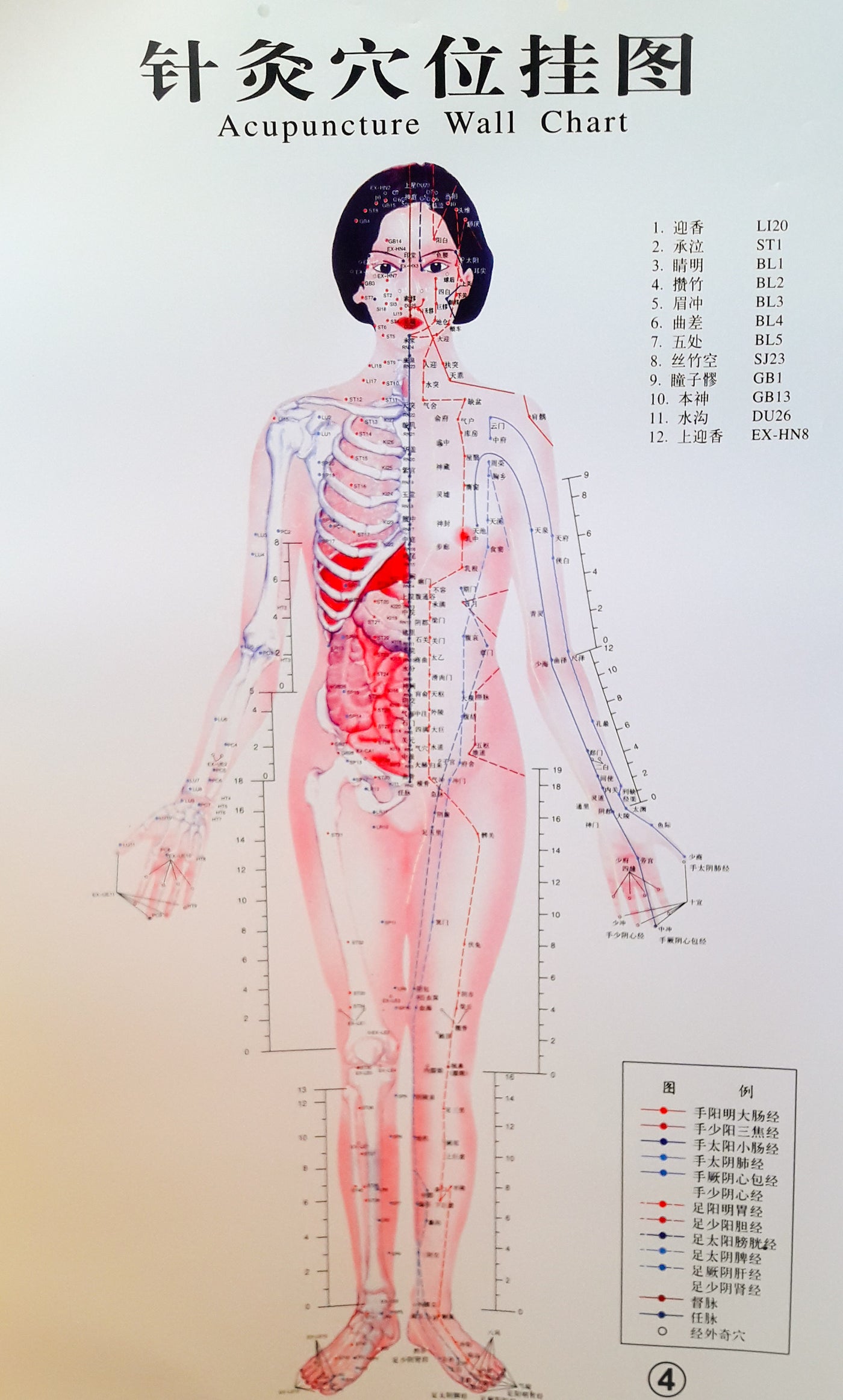 acupuncture points chart